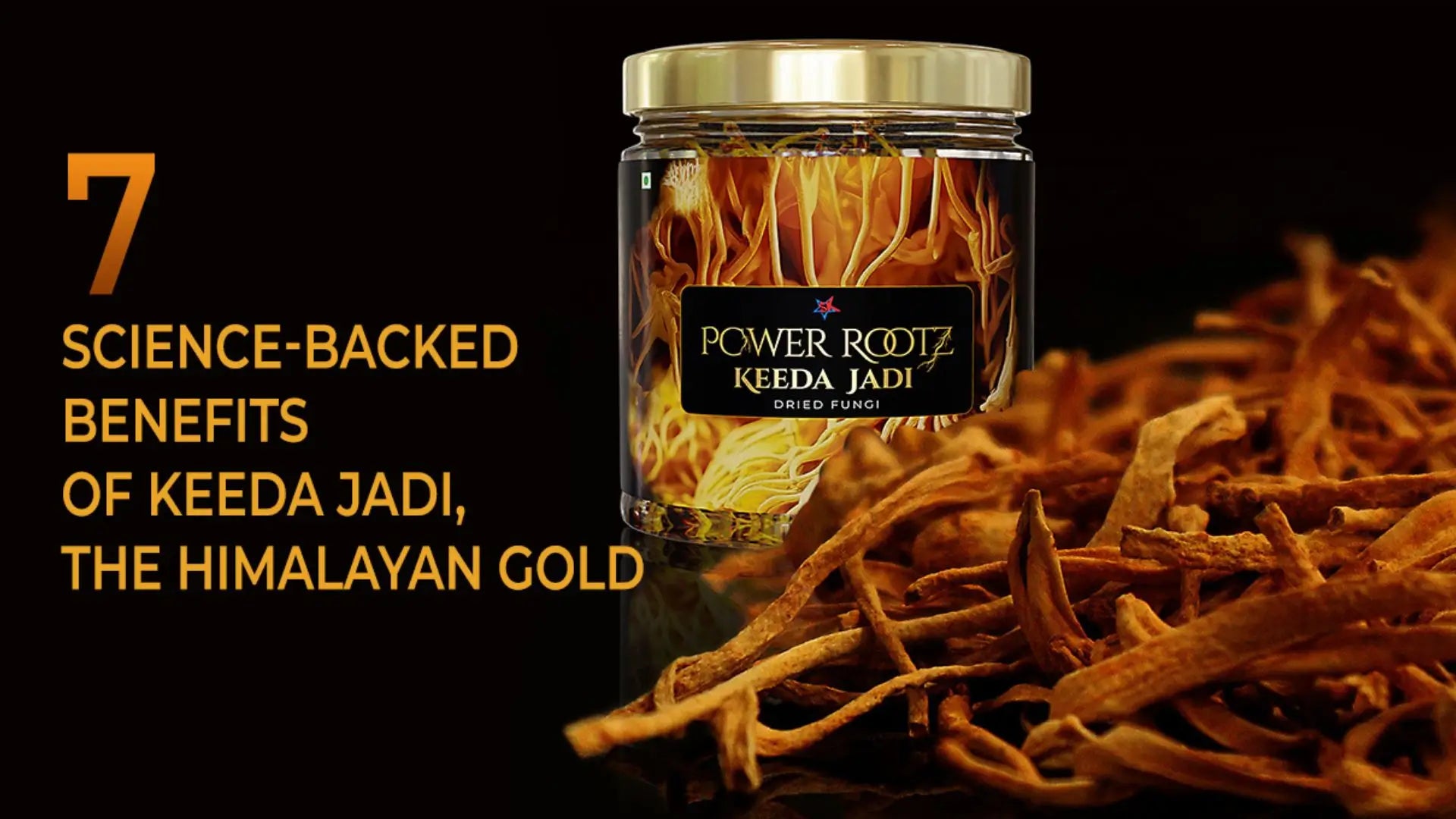 Keeda Jadi 7 Benefits for Health, Energy & Wellness